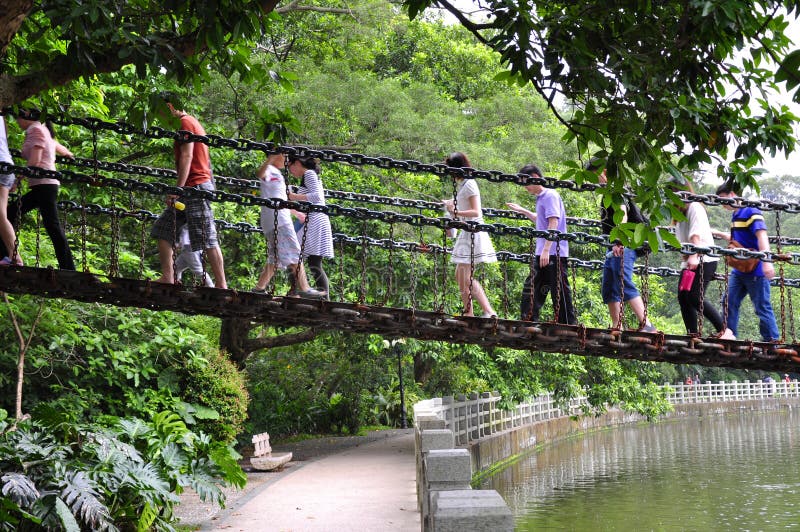 Rope bridge editorial stock image. Image of park, walking - 31644199
