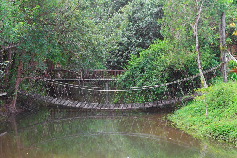 Cable-stayed Bridge in Tree Canopies, Africa Stock Image - Image of ...