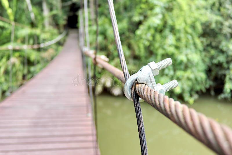 Rope bridge stock photo. Image of slings, bolts, forest - 33488092