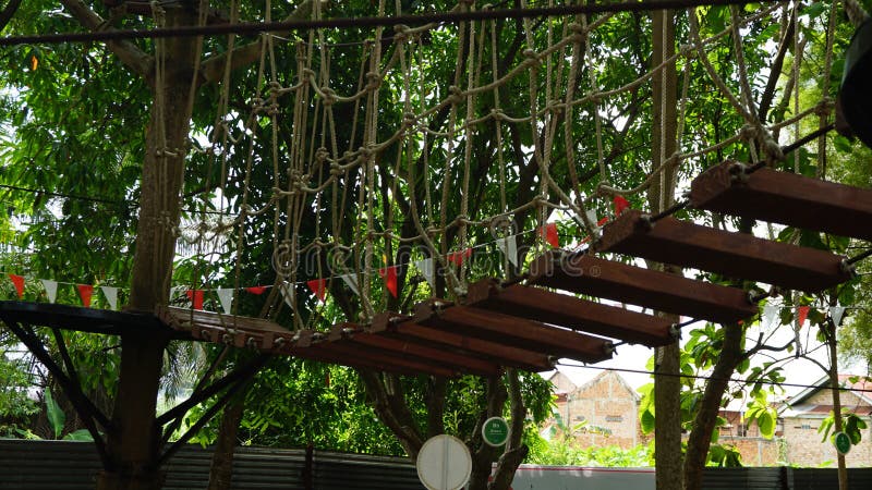 Rope bridge between trees stock photo. Image of outbound - 331945594