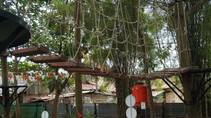 Rope bridge between trees stock photo. Image of bridge - 331945502