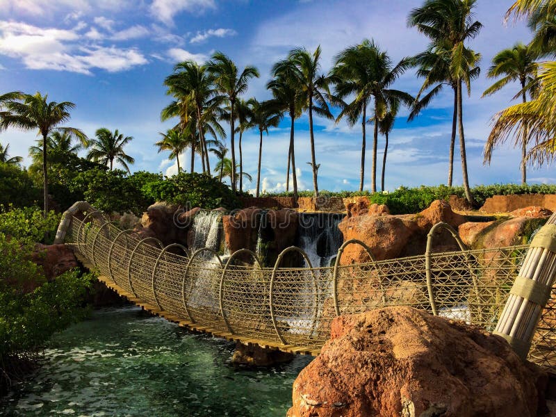 Rope Bridge with Waterfalls Stock Photo - Image of palm, lagoons: 102723876