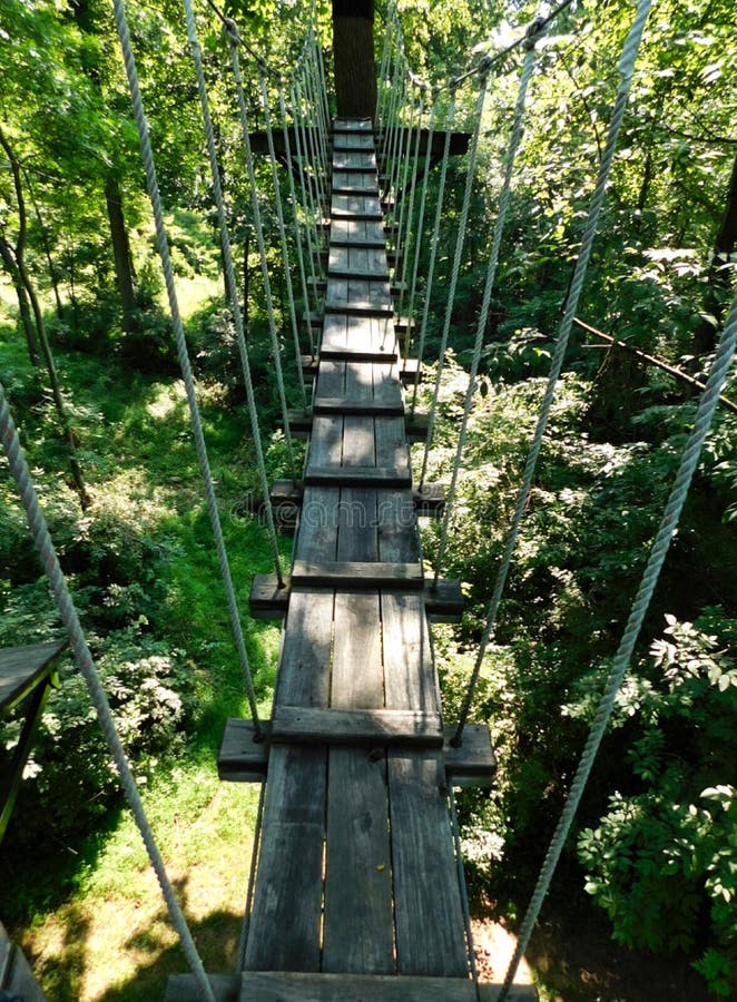 A High Rope Bridge Over the Forest Floor at Refreshing Mountain Camp ...