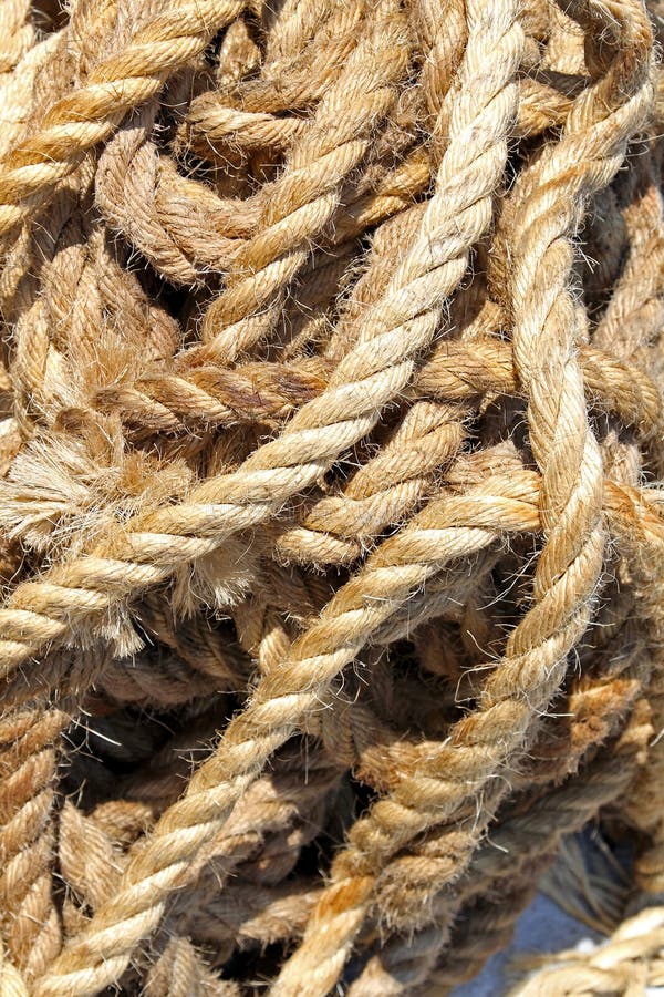 Rope bunch stock photo. Image of brown, lasso, rope, hemp - 30666980
