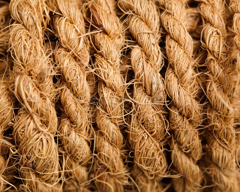 Rope bundle stock photo. Image of brown, rope, cord, isolated - 37474118
