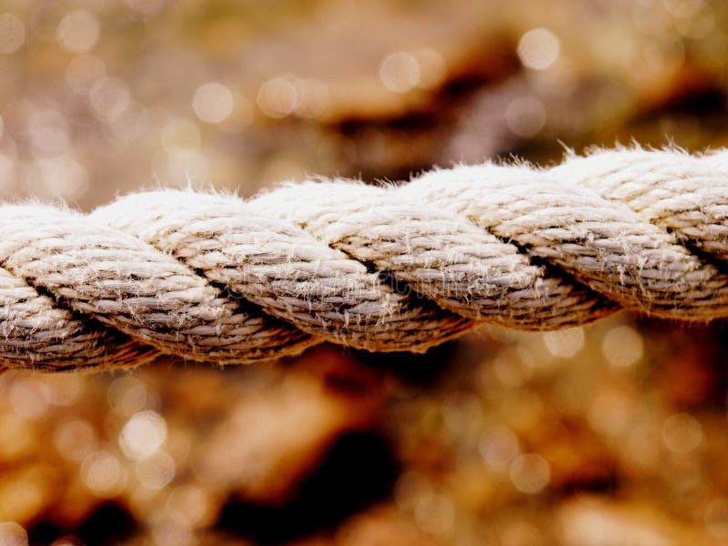 Rope stock photo. Image of close, cord, detail, icon - 39012560