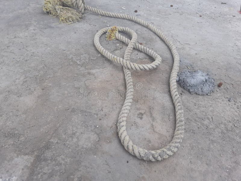 402 Rope Snake Stock Photos - Free & Royalty-Free Stock Photos from ...