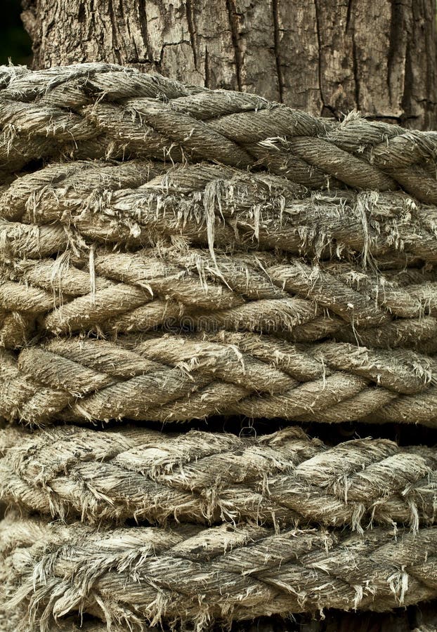 Rope Coiled Around Tree stock image. Image of braid, texture - 19864317