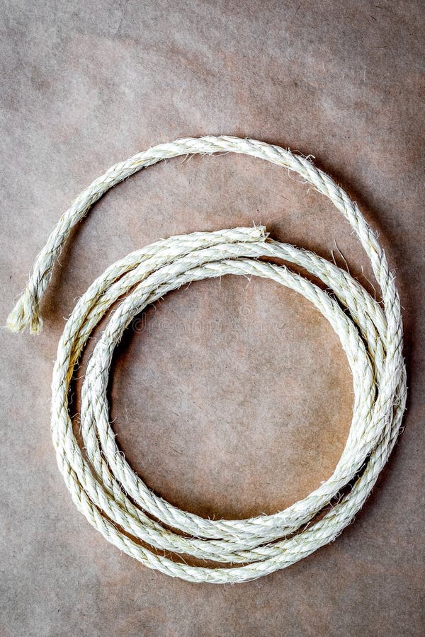 Coiled paper craft twists. stock photo. Image of design - 18186454