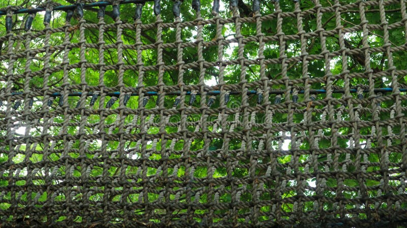 The Rope that is Connected and Twisted is Used As a Bridge that ...