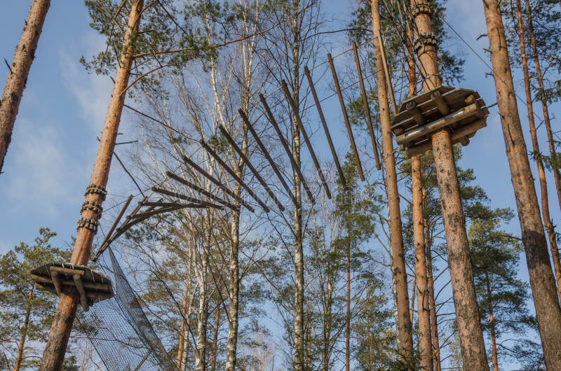 Rope Course in the Forest for Outdoor Activities Stock Photo - Image of ...