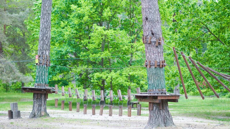 Rope Course in Pine Woods Offering Safe Climbing Fun for Children Stock ...