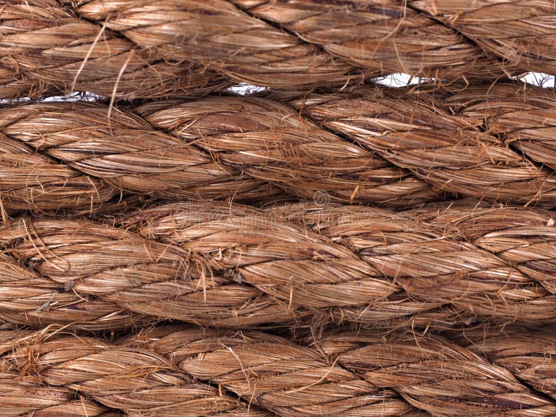 Rope stock photo. Image of brown, texture, straw, tree - 63239634