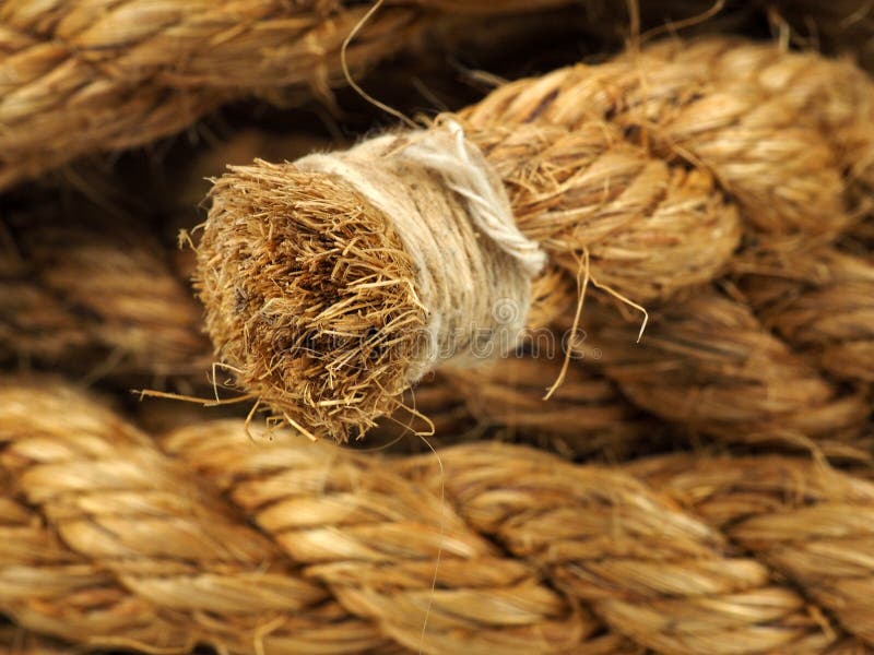 Rope end stock image. Image of whipped, craftsmanship - 52561115
