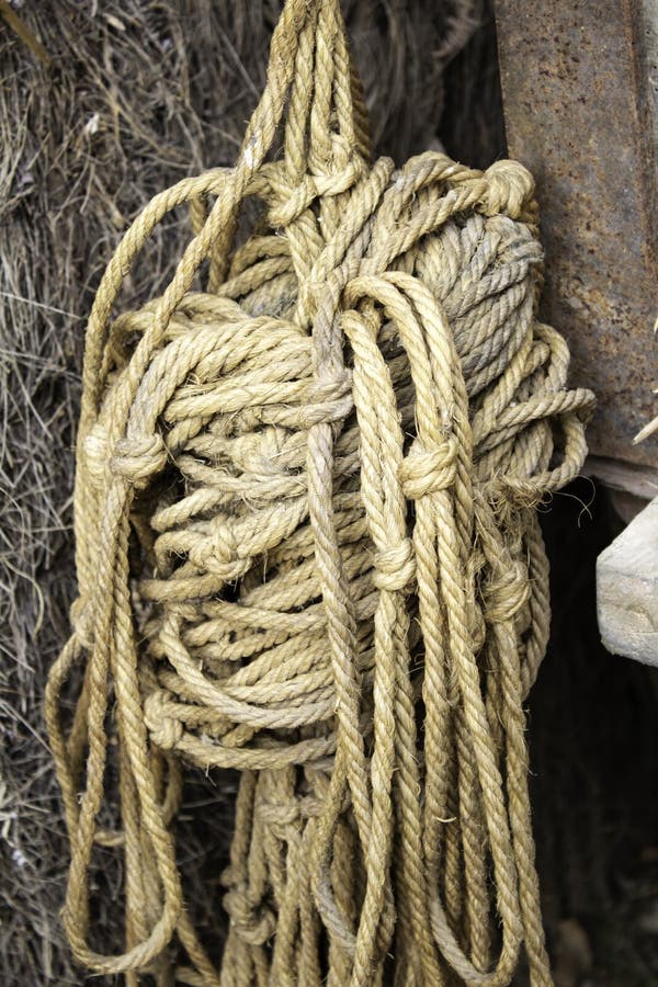 Knotted rope stock image. Image of natural, marine, cord - 161582923