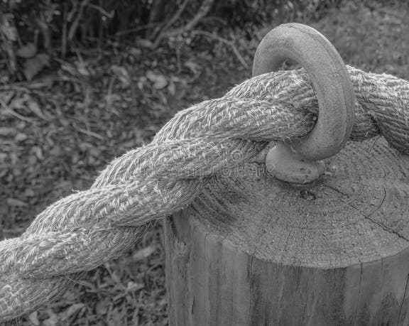 Rope eye stock image. Image of blackandwhite, rope, stud - 55829981