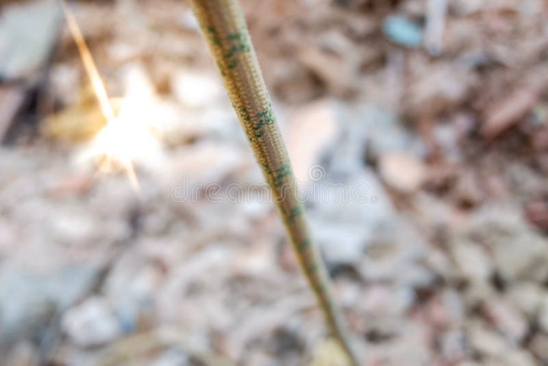 Rope Falling Vertically Illuminated by a Sun Flare Stock Photo - Image ...