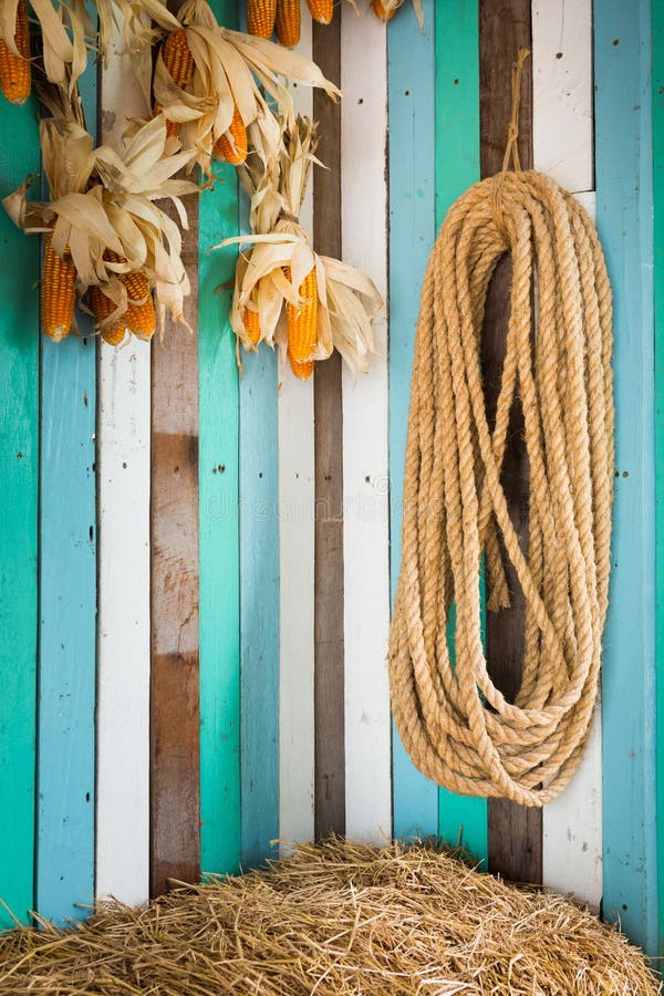 Rope in farm stock image. Image of golden, detail, decoration - 32812143