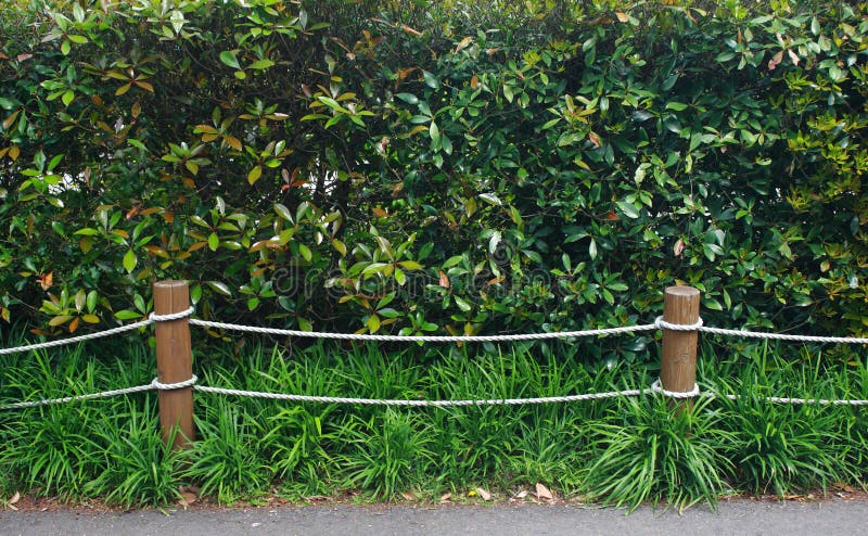 Rope fence in garden stock image. Image of line, environment - 24910005