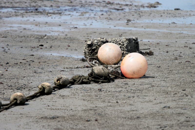 Rope with Floating Buoys Lay Stranded on a Beach during Low Tide ...