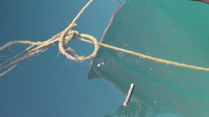 Rope is Floating in the Sea Water Stock Footage - Video of fishing ...