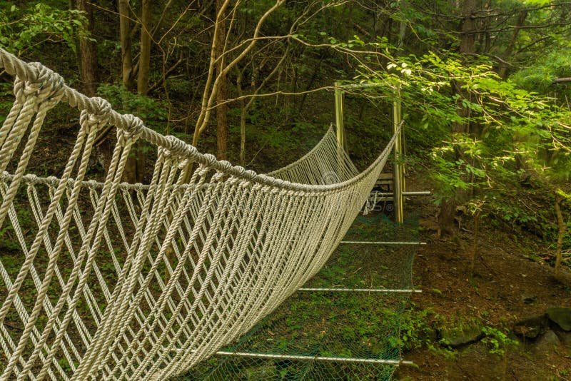 Rope Footbridge Part of Obstacle Course Stock Photo - Image of ...