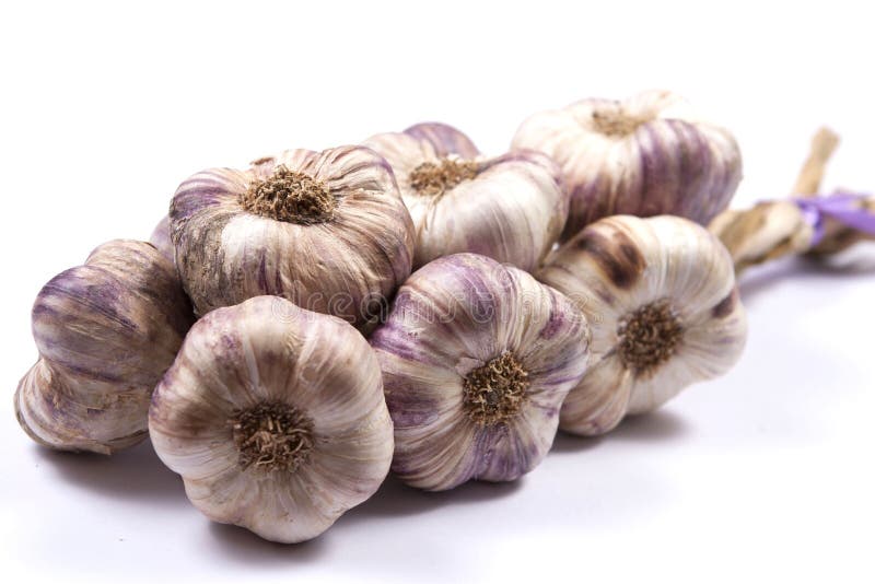 Garlic rope stock image. Image of taste, tangled, bokeh - 32720065