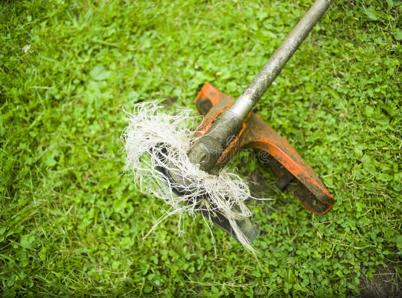 Rope Got Tangled in the Lawn Mower Stock Image - Image of grass, head ...