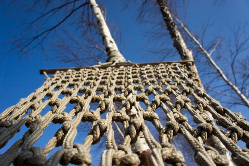 Rope grid stock photo. Image of birch, blue, silver, tree - 61941568