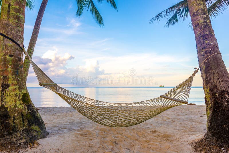 Rope Hammock with Coconut Tree Stock Image - Image of resting, relax ...