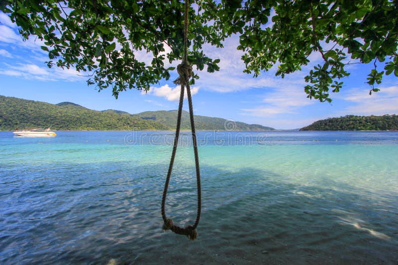 Rope Hang from a Tree Above Beautiful Beach Stock Image - Image of ...