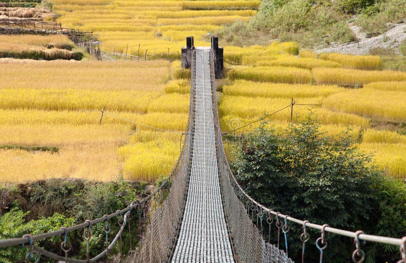 Rope Hanging Suspension Bridge in Nepal Stock Photo - Image of asia ...
