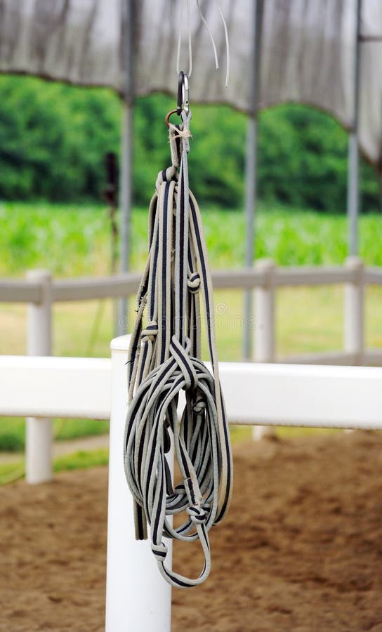 Rope horse stock photo. Image of equestrian, ropes, objects - 39038218