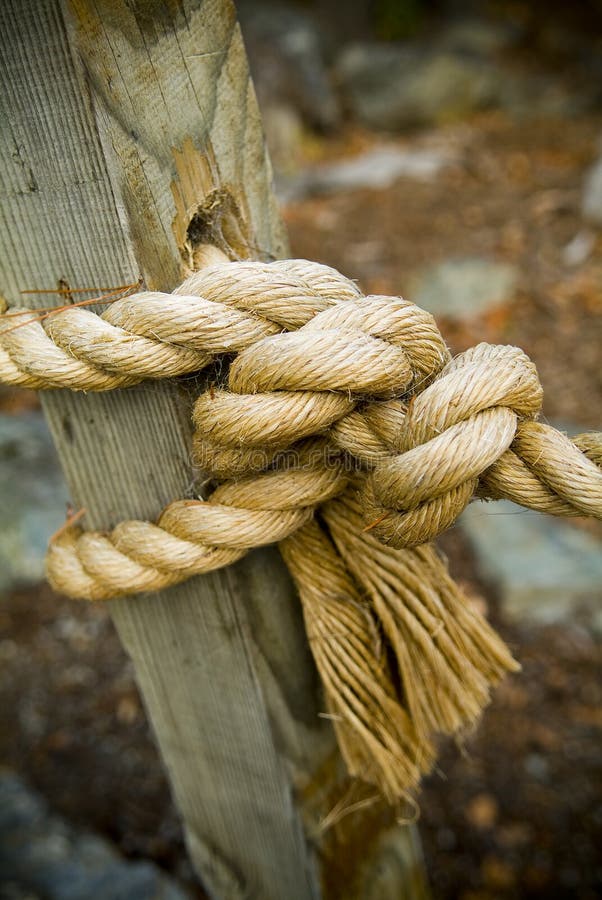 Taut Rope stock image. Image of strong, taut, fray, rope - 99945