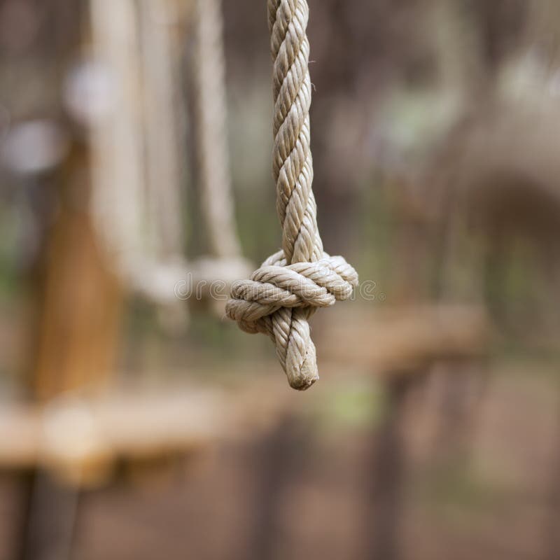 Hanging rope stock image. Image of spooky, hangman, rights - 2601109