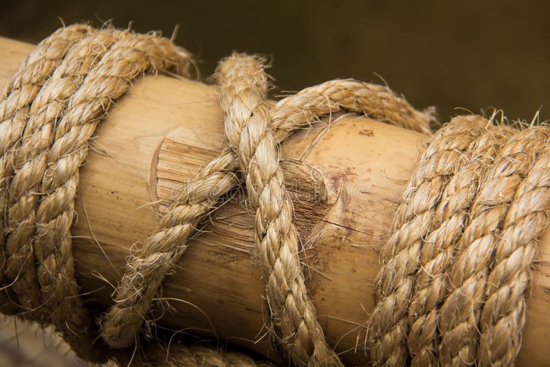 Rope knot on a bamboo stock photo. Image of pattern, outdoors - 52094664