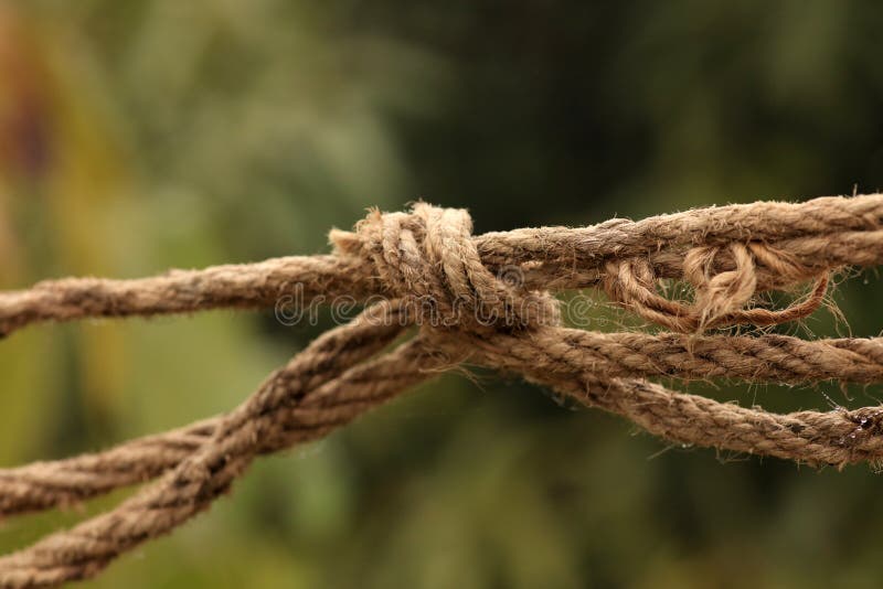 Girl tying knot in rope stock image. Image of hands, rope - 22602915