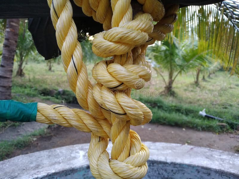 Rope knot picture stock image. Image of vegetable, temple - 251334589