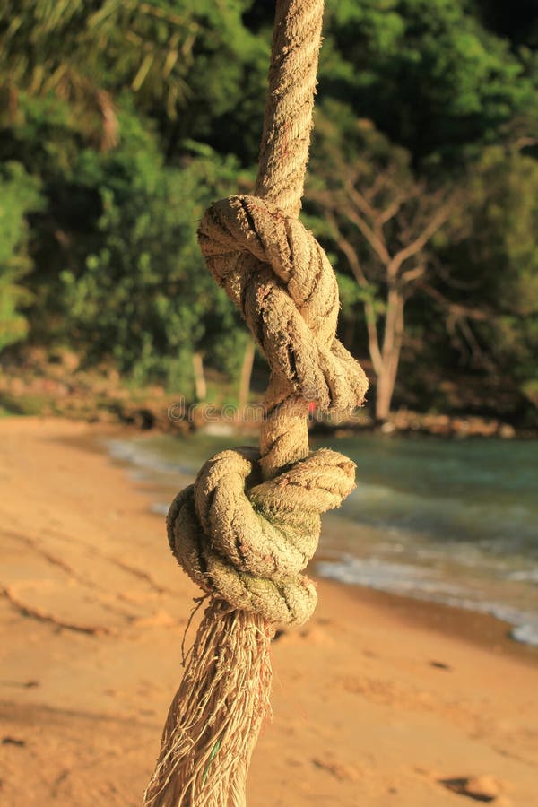 Rope knot stock photo. Image of close, team, togetherness - 64567324