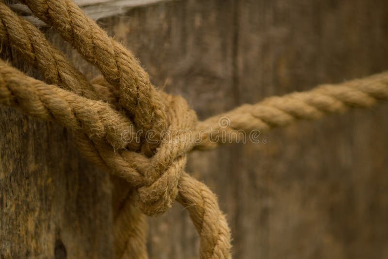 Rope knot on wooden board stock image. Image of wood - 255737607