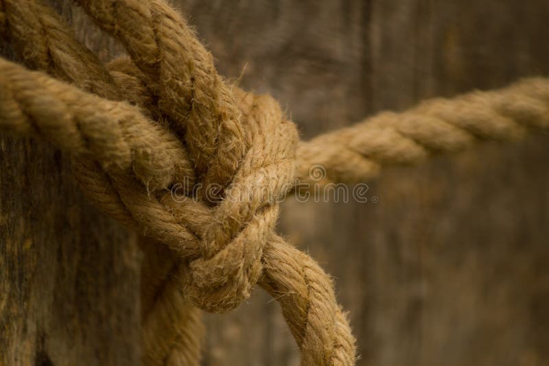 Rope knot on wooden board stock image. Image of texture - 255737623
