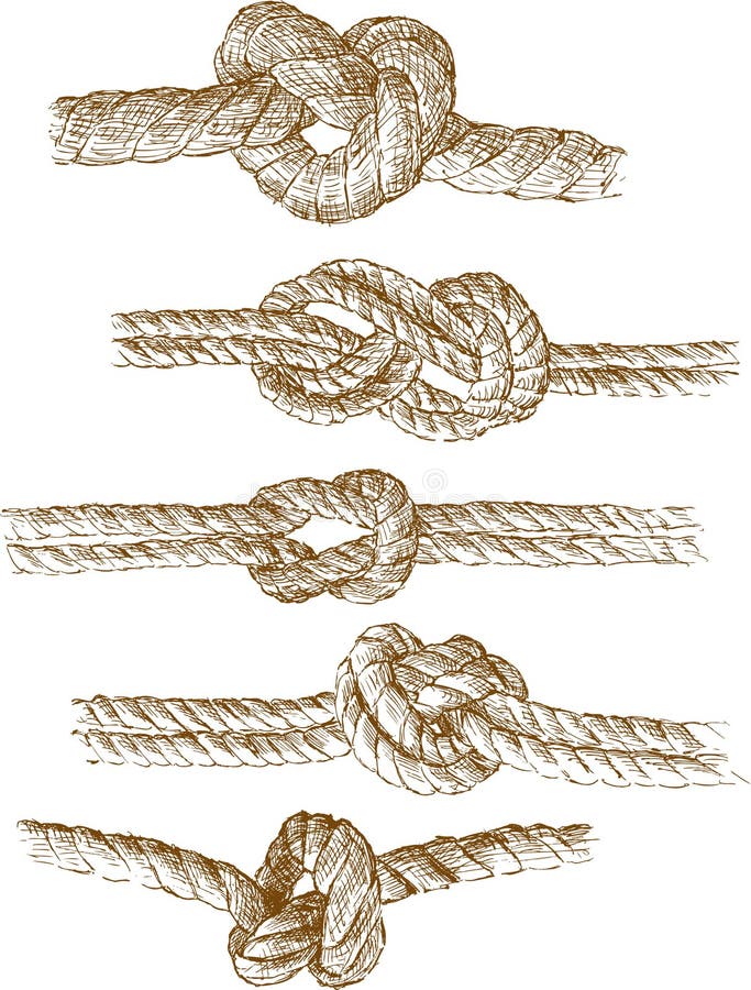 Rope knots stock vector. Illustration of bound, noose - 24904540