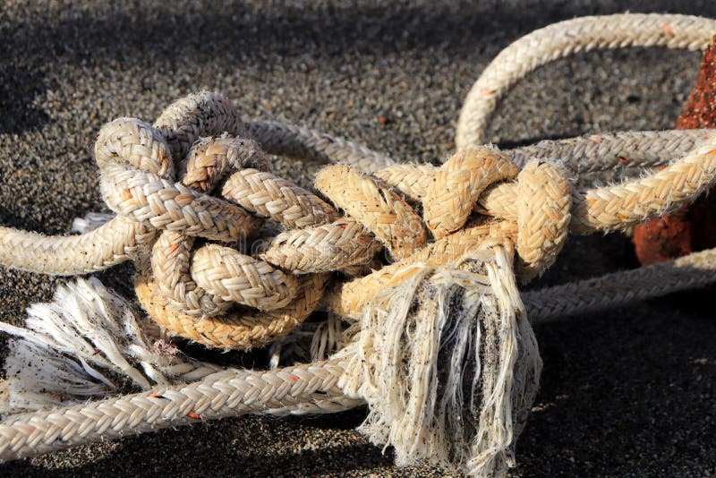 Rope knots on the beach stock photo. Image of rope, coast - 181552920