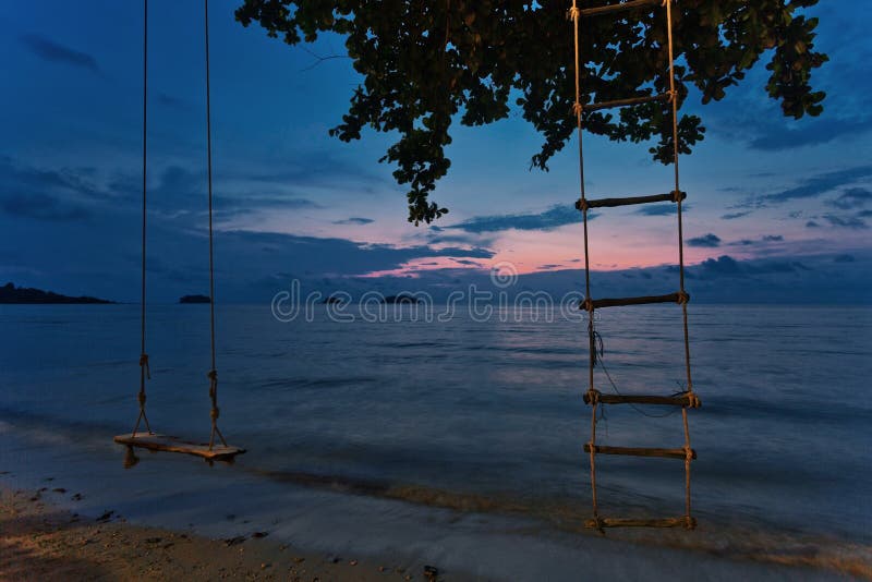 191 Coconut Tree Ladder Stock Photos - Free & Royalty-Free Stock Photos ...