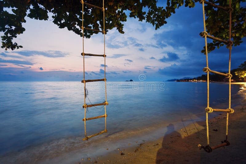 Rope Ladder Hanging from a Tree Stock Photo - Image of rope, nature ...