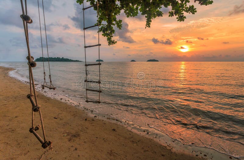 191 Coconut Tree Ladder Stock Photos - Free & Royalty-Free Stock Photos ...