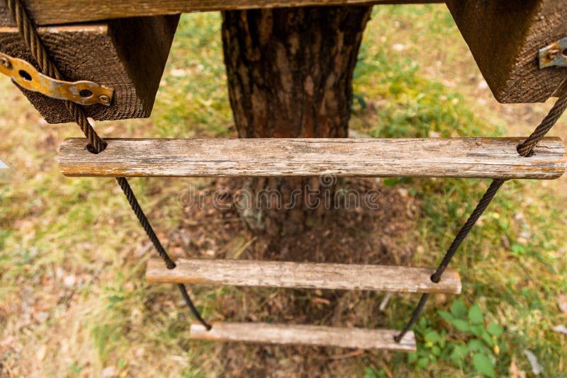 A rope ladder on a tree stock image. Image of nature - 121079719