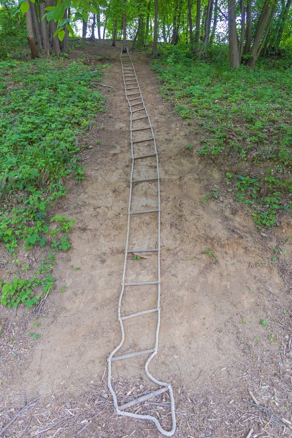 Rope Ladder Wood stock photo. Image of wilderness, climb - 247546972
