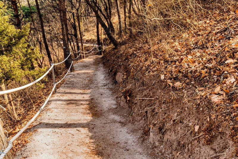 Rope Lined Hiking Trail in Wilderness Park Stock Image - Image of ...