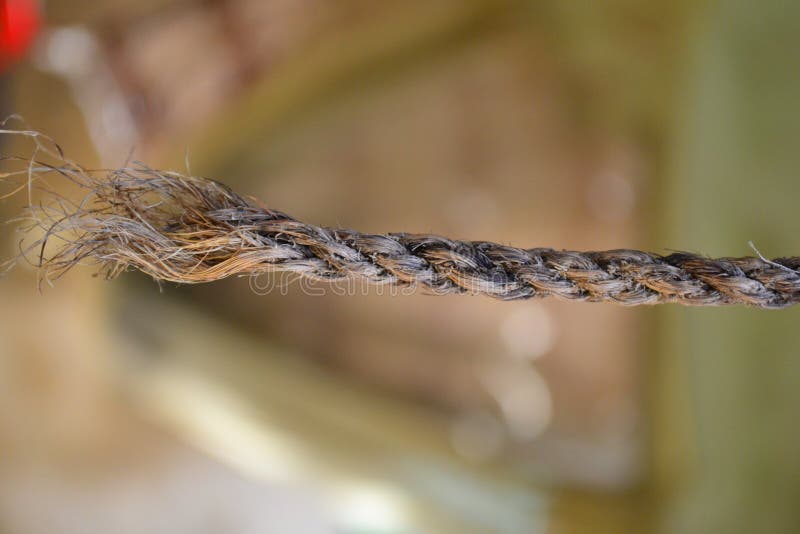 Loose Rope stock photo. Image of petal, background, string - 15739910